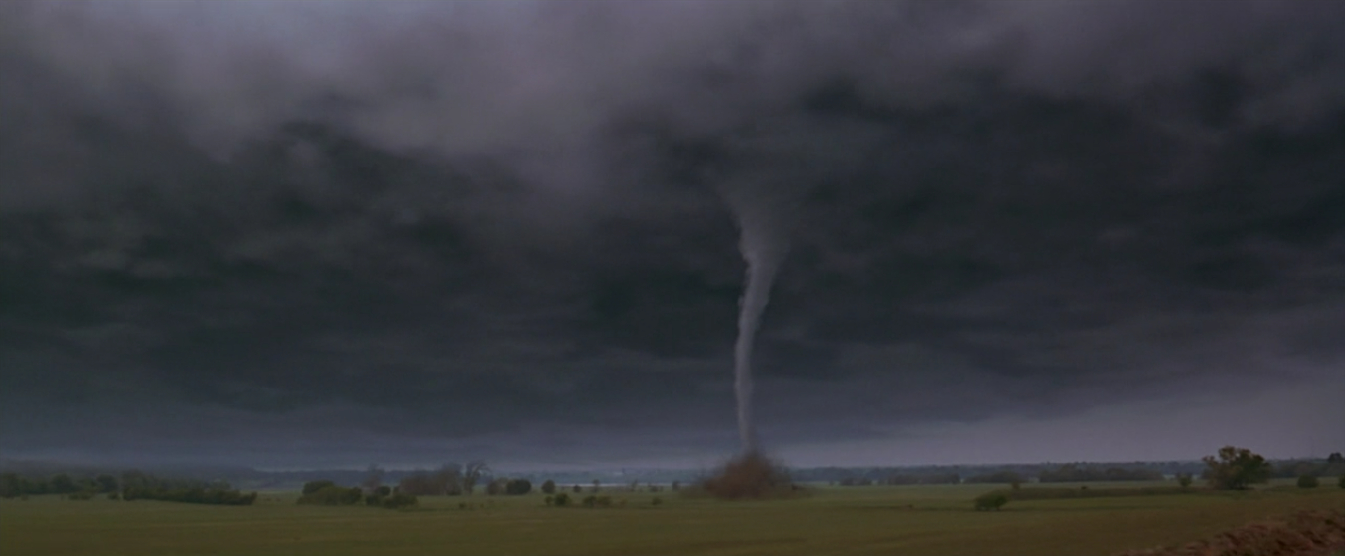 Picture of Twister