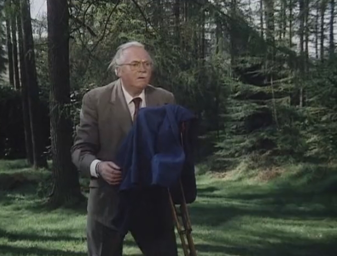 Picture of The Ups and Downs of a Handyman