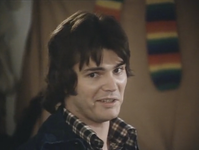 Picture of The Ups and Downs of a Handyman