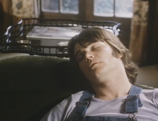 Picture of The Ups and Downs of a Handyman