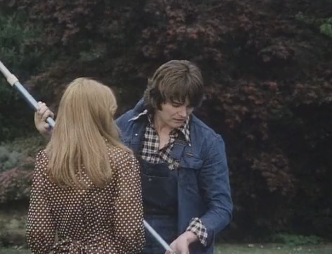 Picture of The Ups and Downs of a Handyman