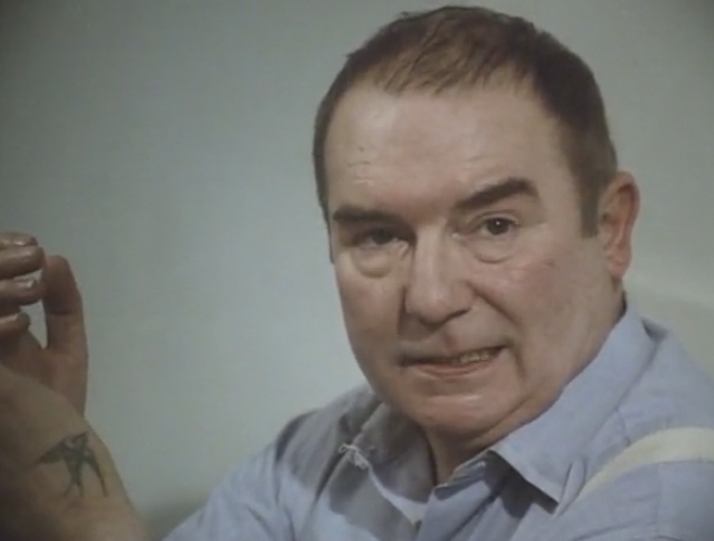 Picture of The Ups and Downs of a Handyman