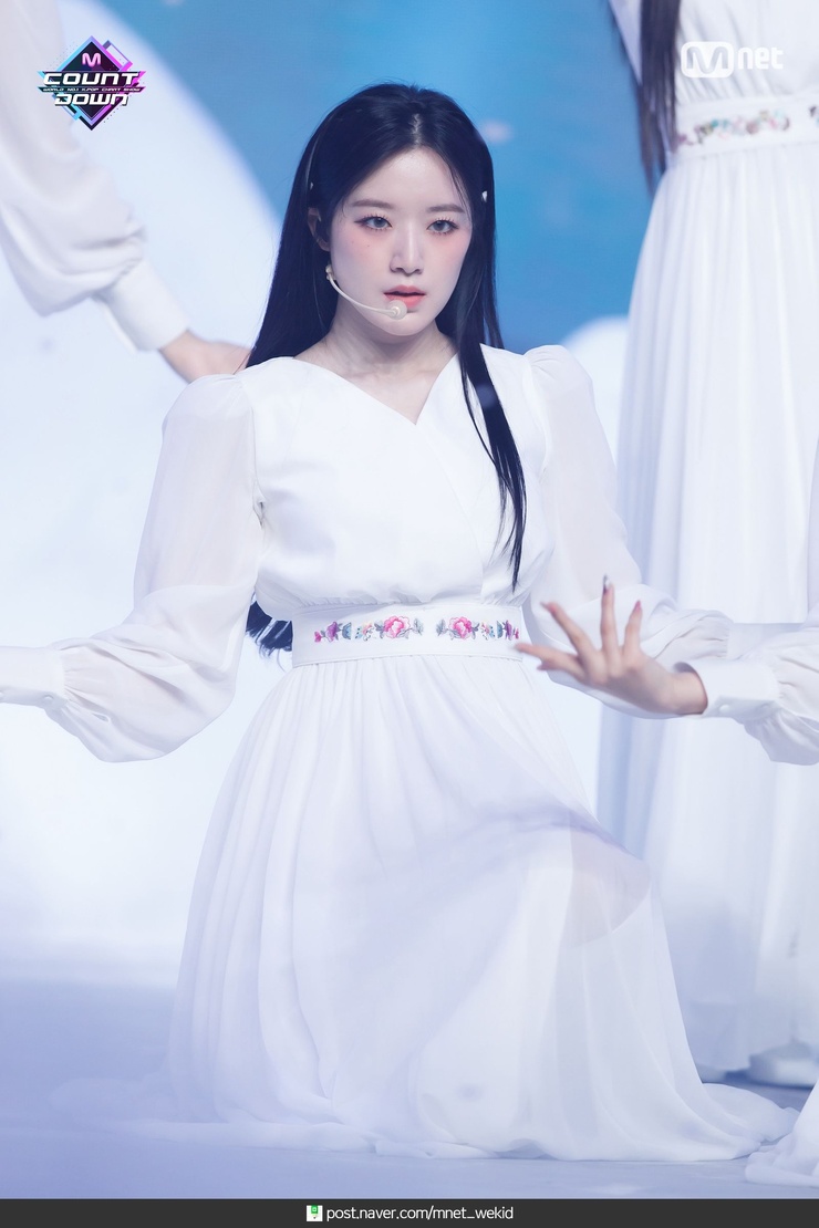 Picture of Yeh Shu Hua