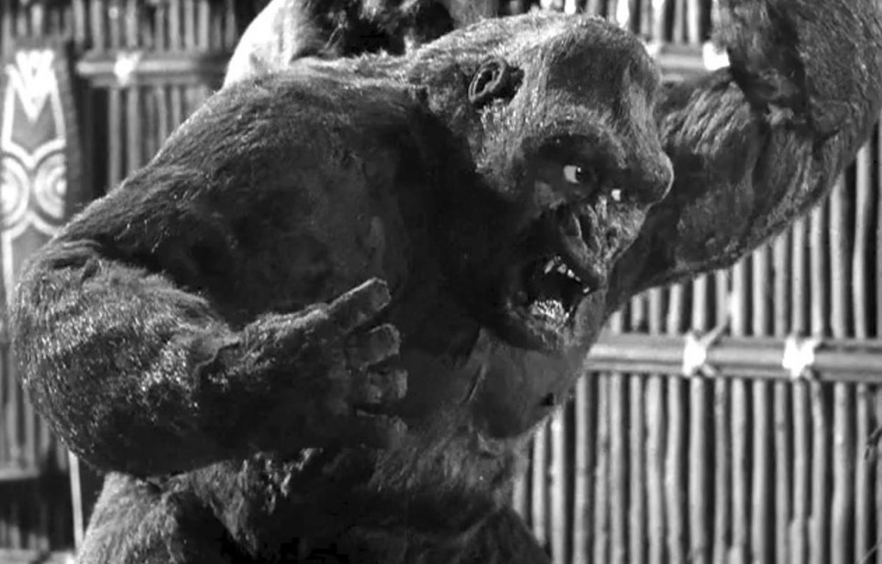 Picture of Mighty Joe Young