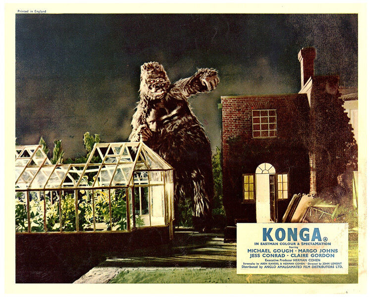 Picture of Konga