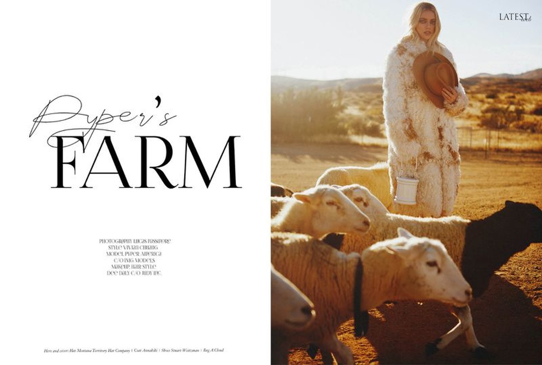 Picture of Pyper America