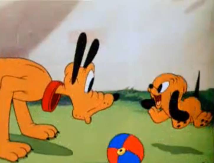 Pluto Junior picture