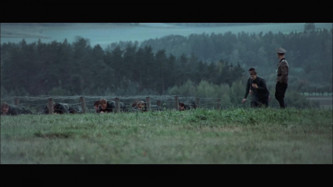 Picture of Before the Fall