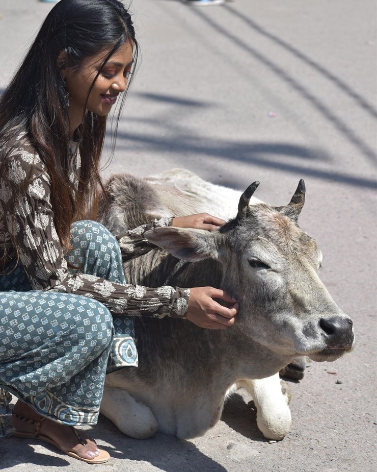 Picture of Shaun Romy