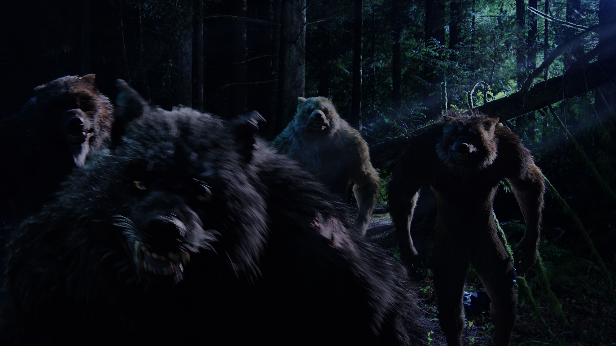 Picture of Hamish Duke