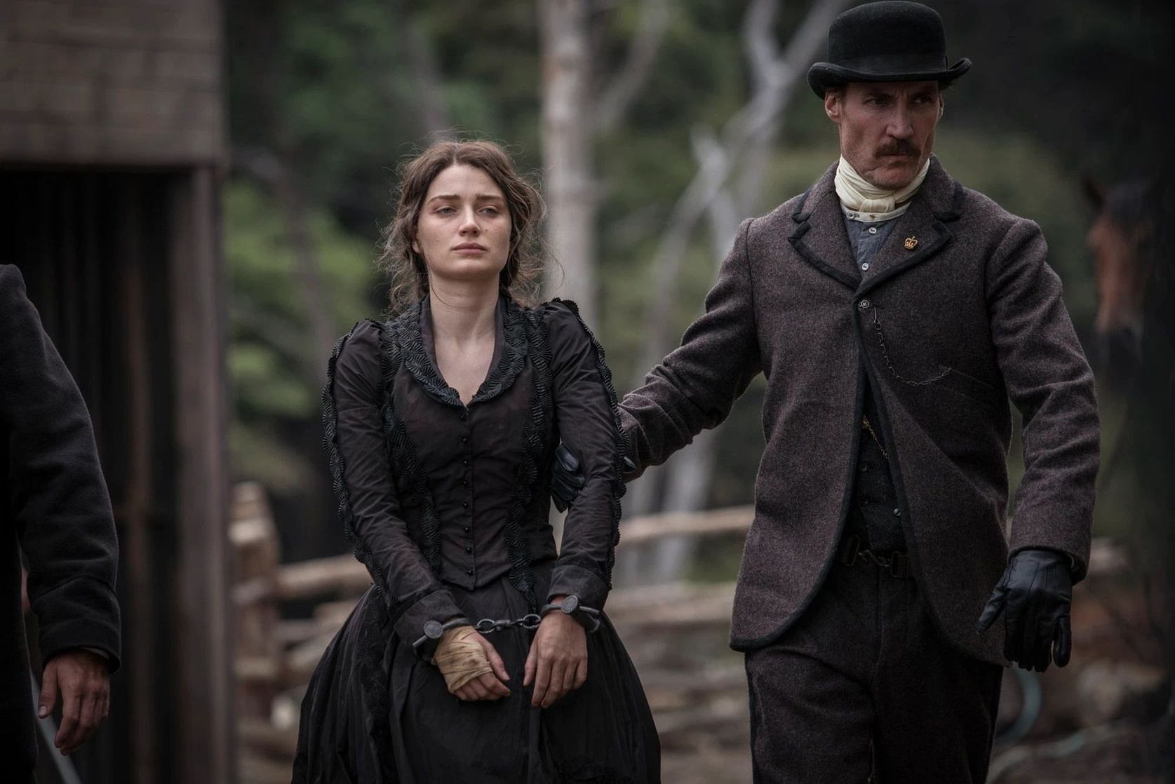 Picture of The Luminaries