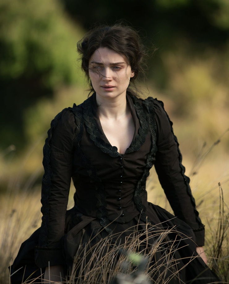 Picture of The Luminaries