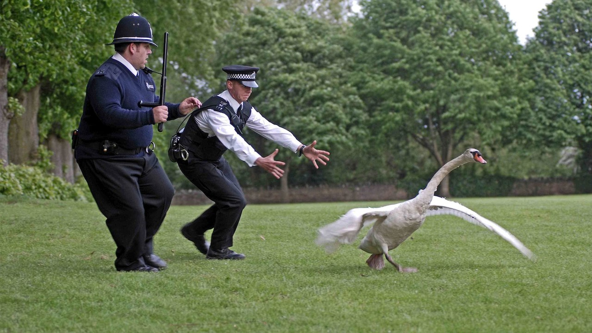Picture of Sgt. Nicholas Angel