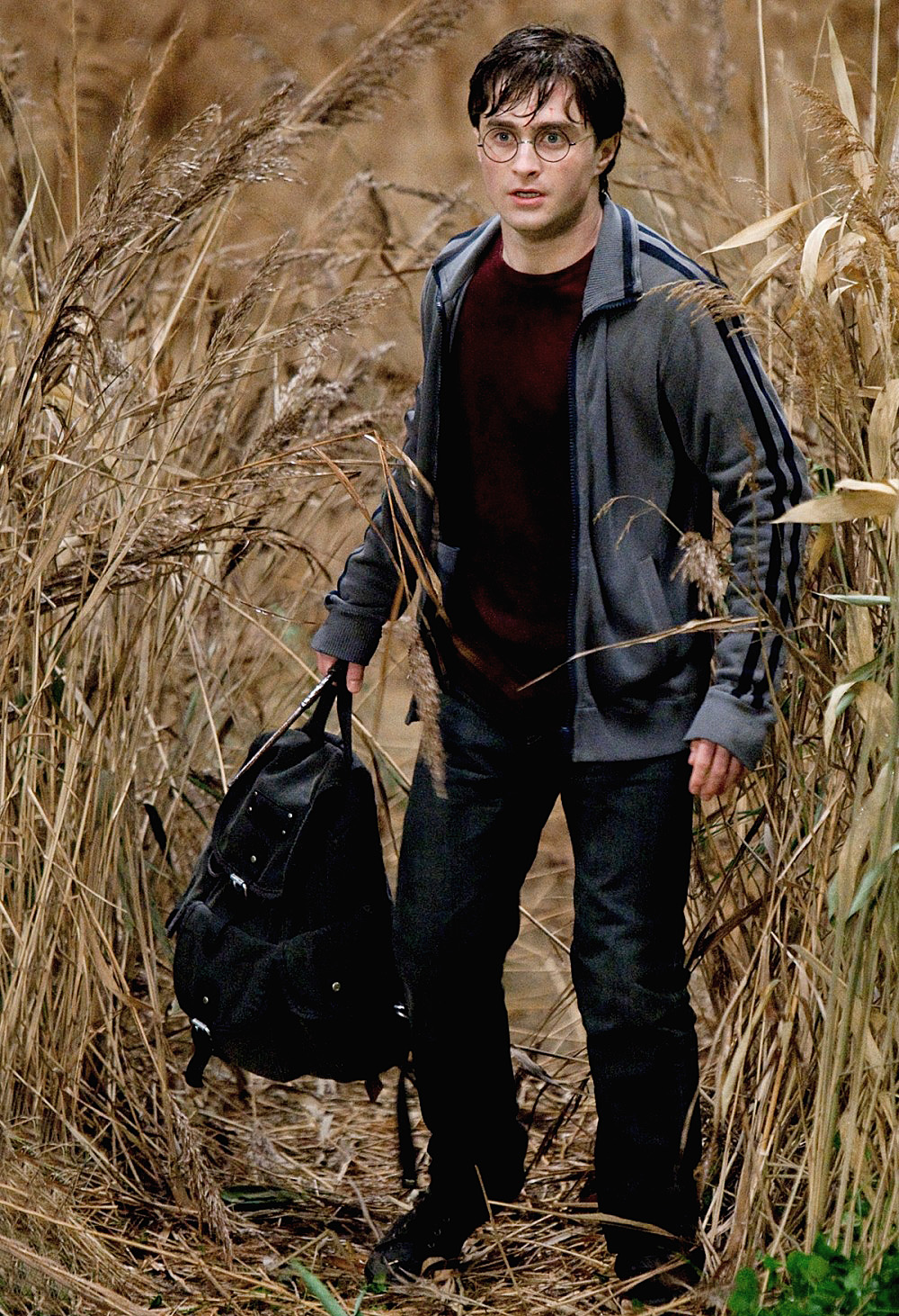 Picture of Daniel Radcliffe