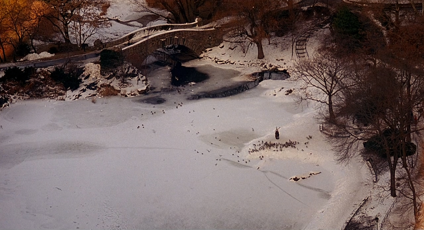 Picture of Home Alone 2: Lost in New York