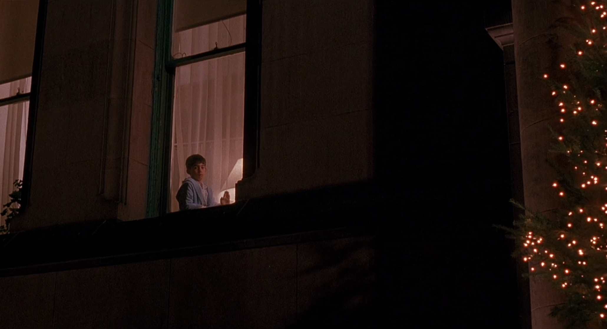 Picture of Home Alone 2: Lost in New York (1992)