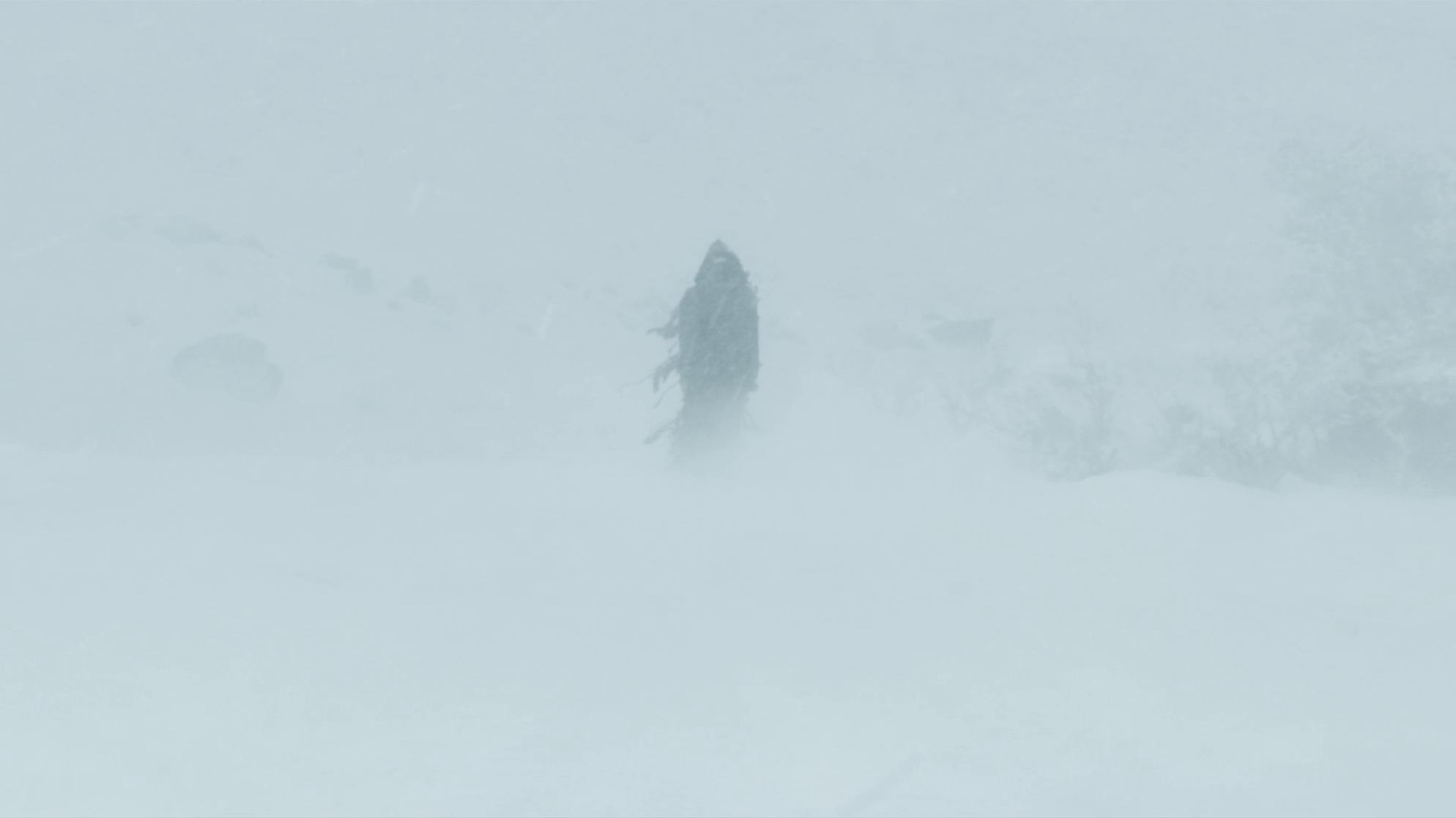 Picture of The Empty Man