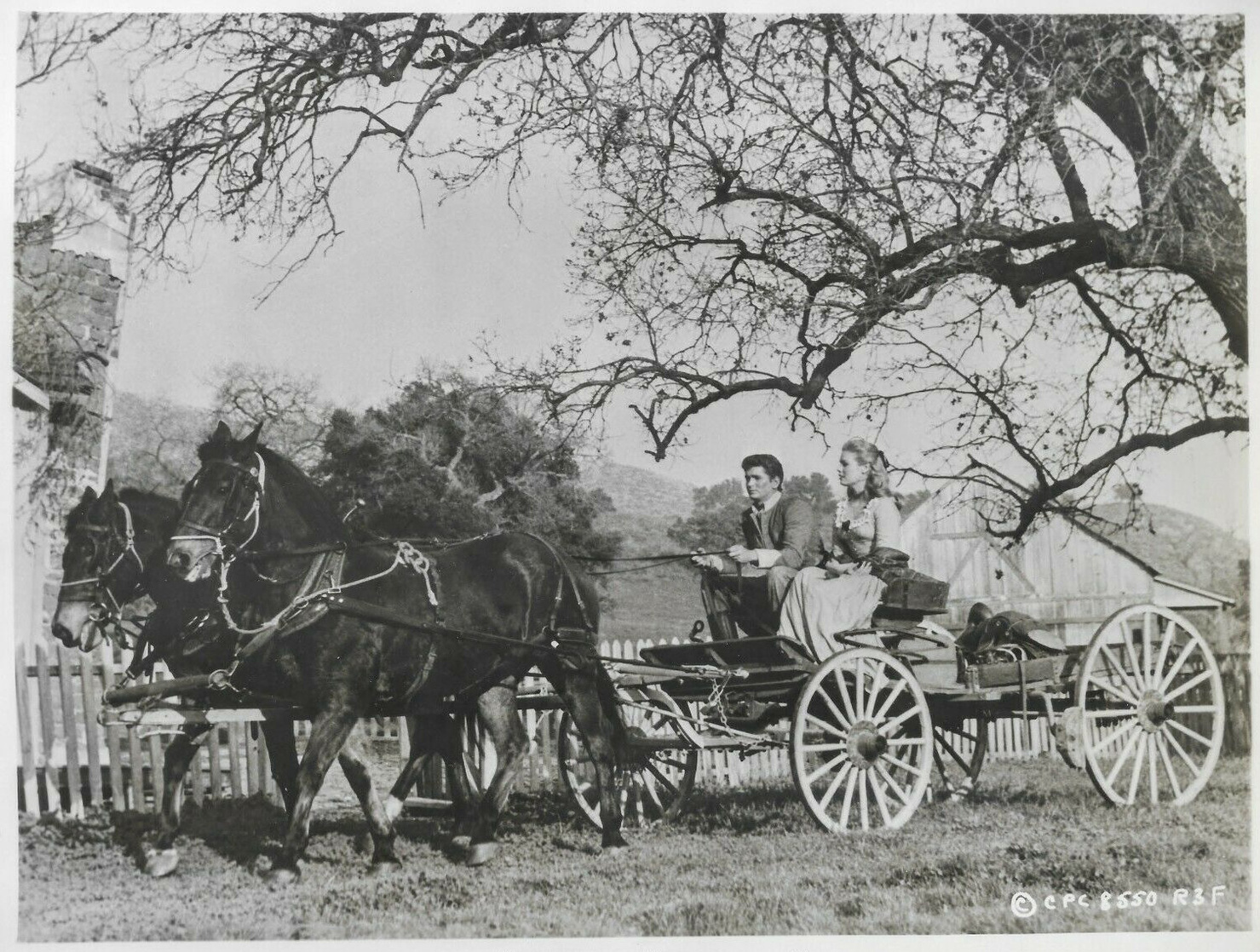 The Legend of Tom Dooley picture