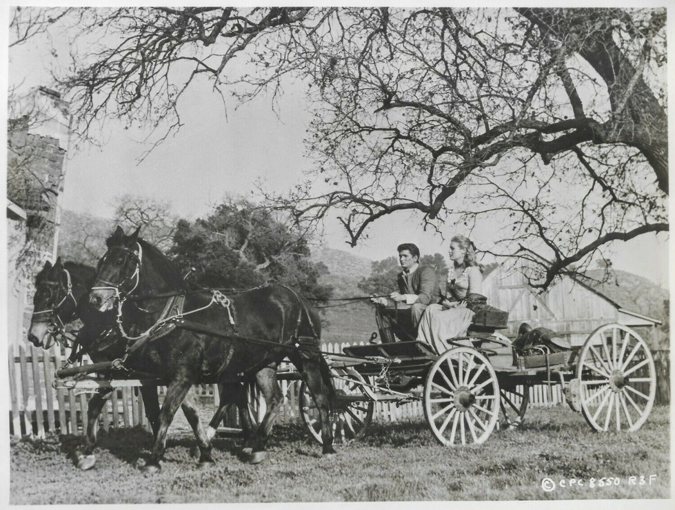 The Legend of Tom Dooley picture