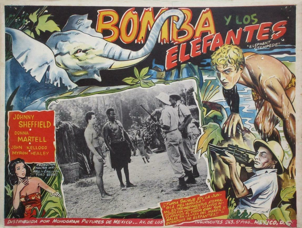 Picture of Elephant Stampede