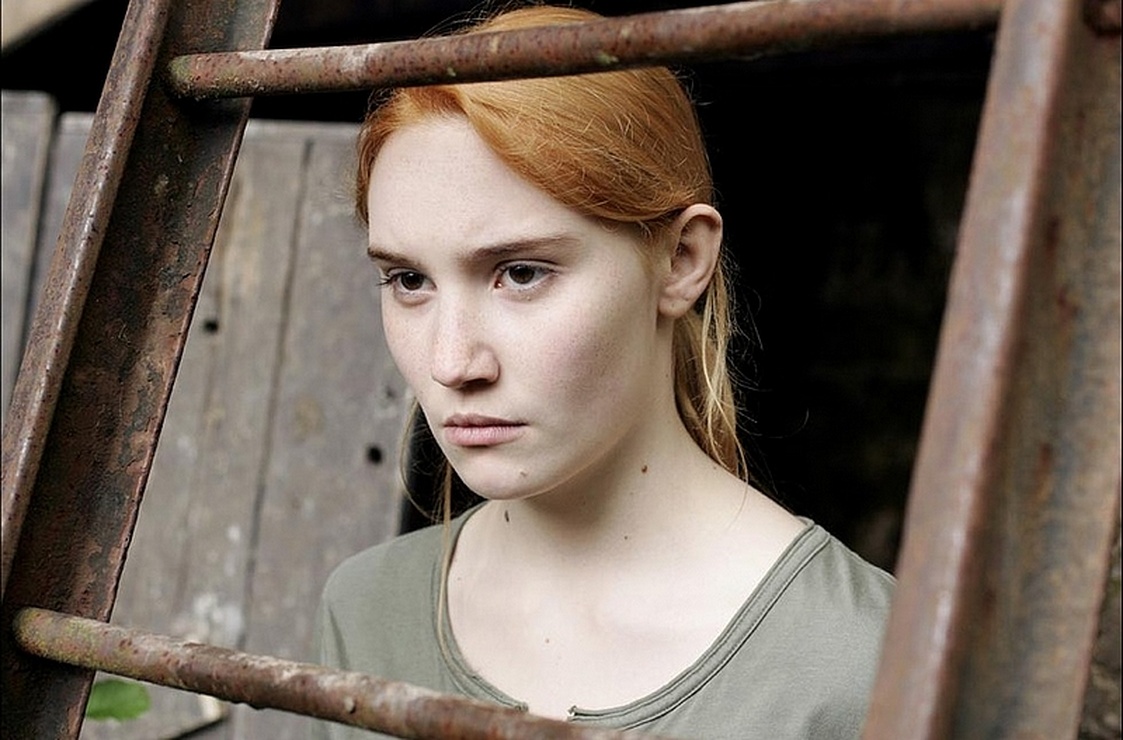 Les fourmis rouges image