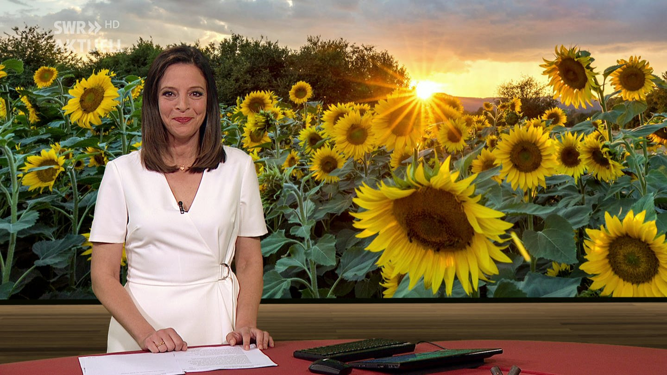 Stephanie Haiber image