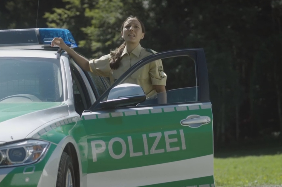 Picture of Treibjagd