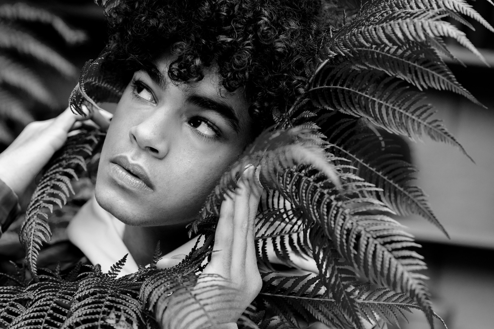 Picture of Amir Wilson