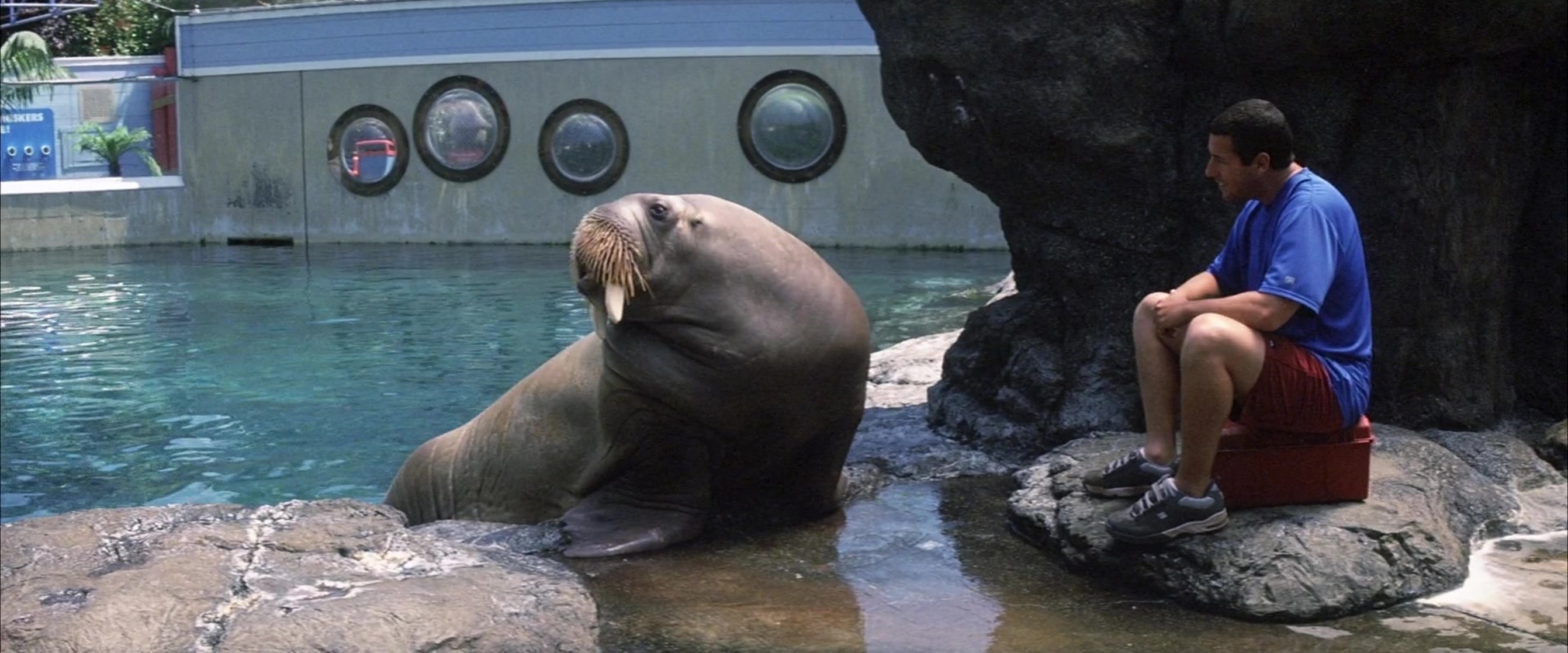 50 First Dates