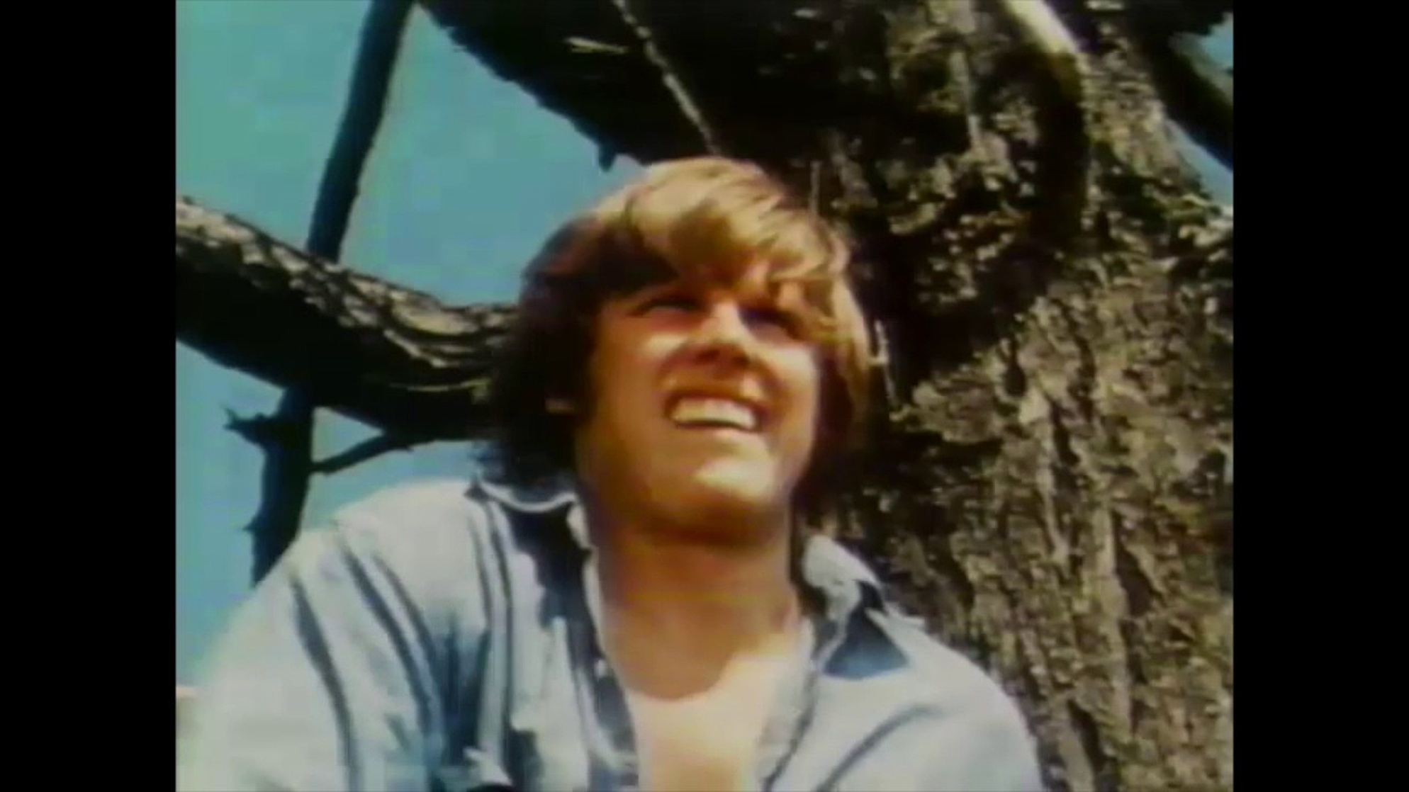 Picture of Didn't You Hear...