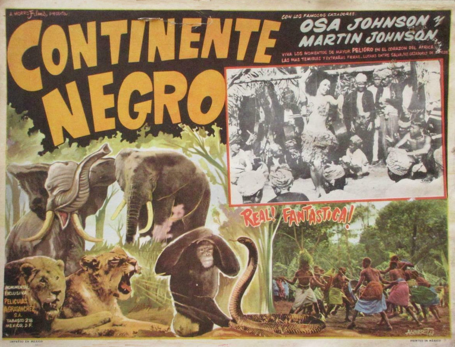 Wonders of the Congo image
