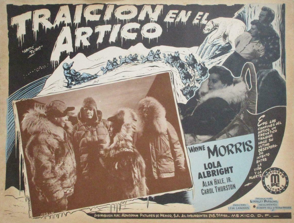 Arctic Flight picture