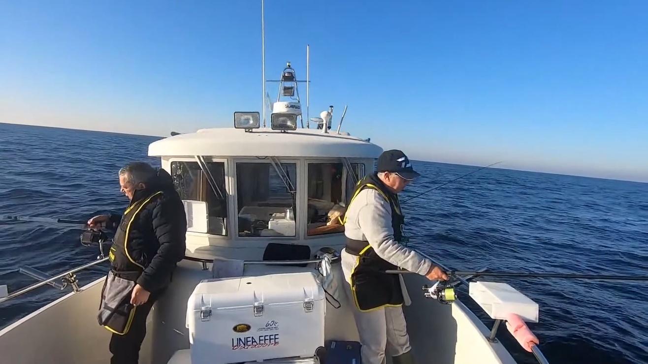 Jaws Returns image
