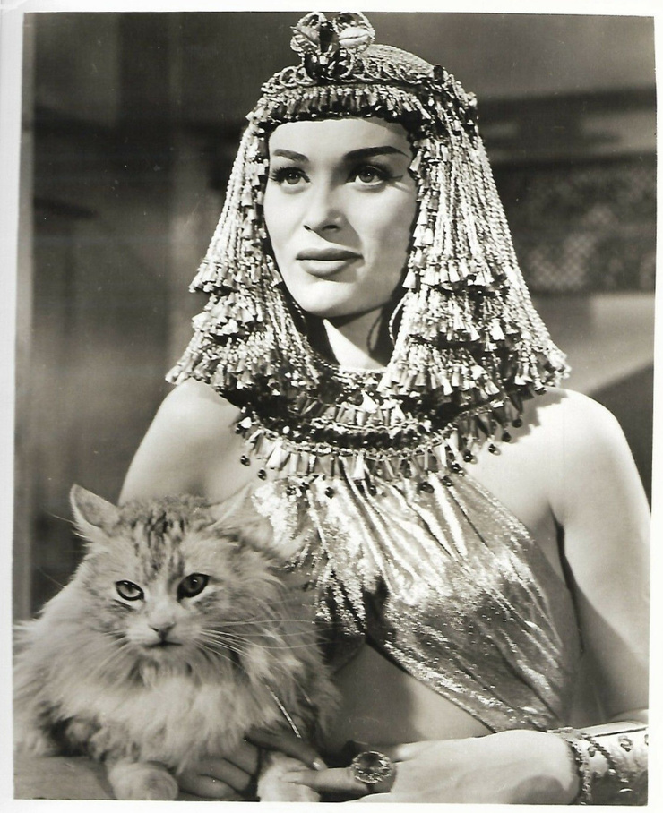 Bella Darvi