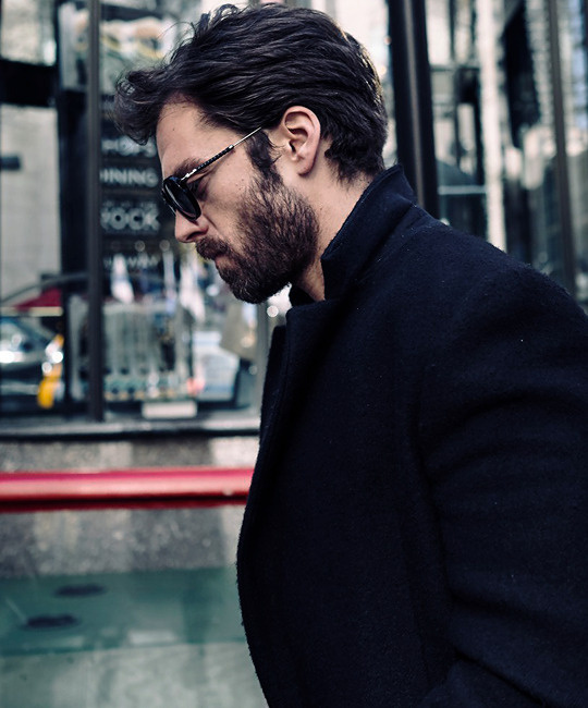 Picture of Sebastian Stan