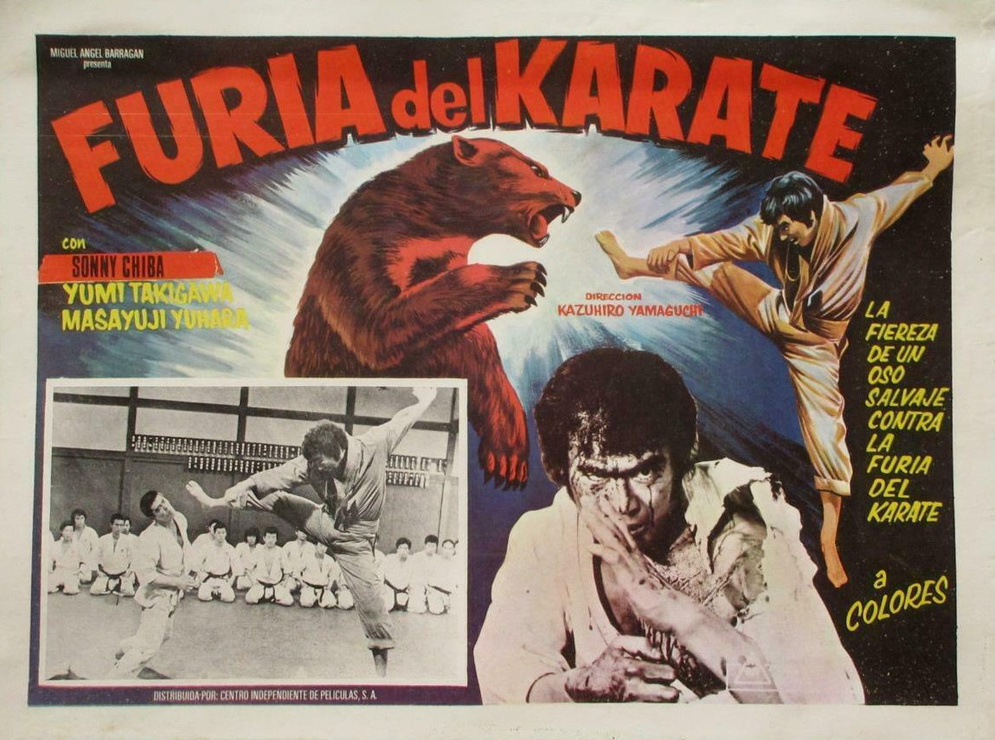 Karate Warriors picture