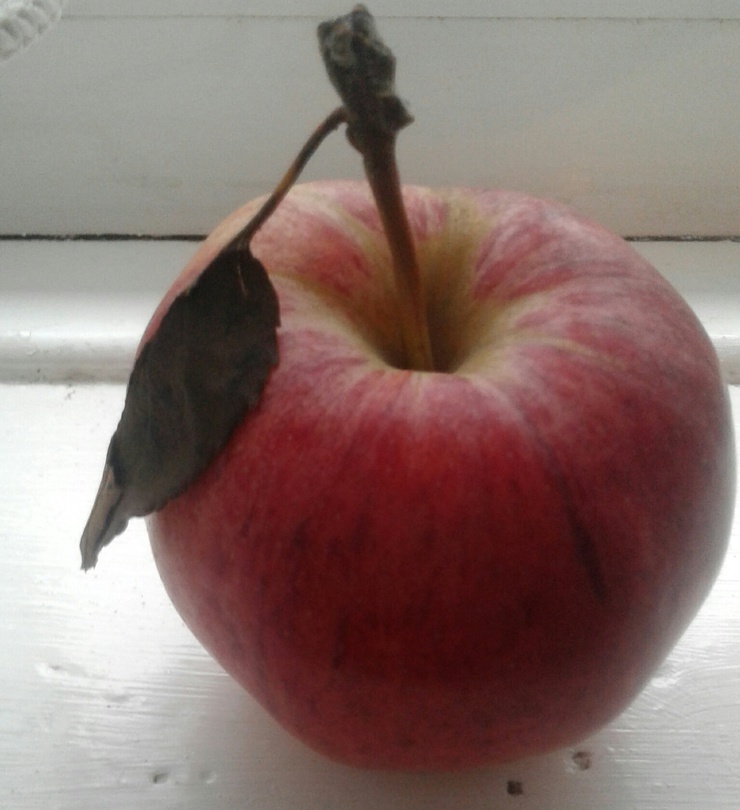 This is a pretty apple