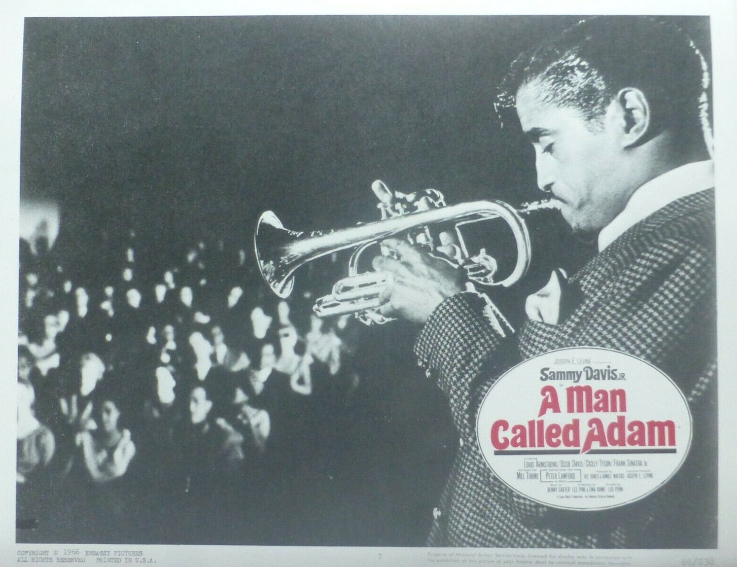 A Man Called Adam image