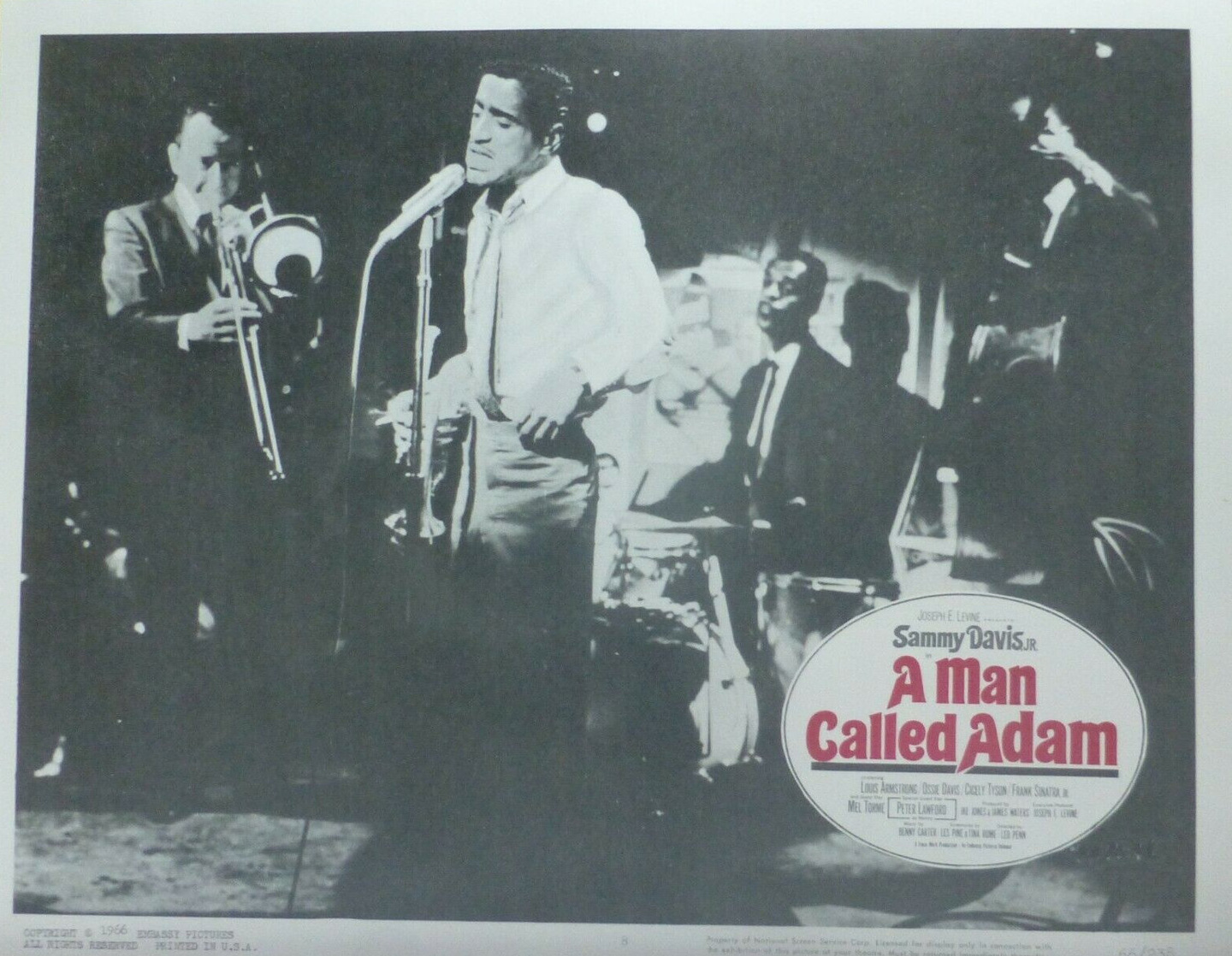 Image of A Man Called Adam