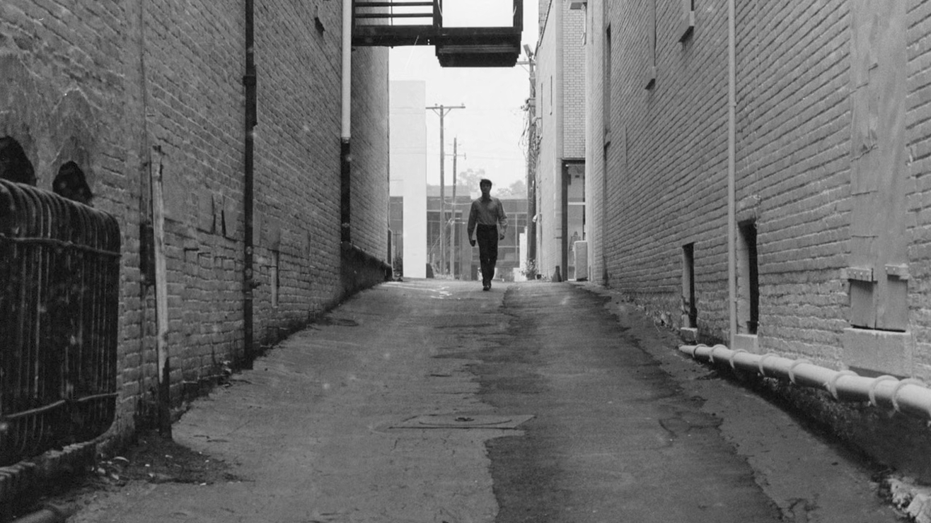 Image of Blue Velvet