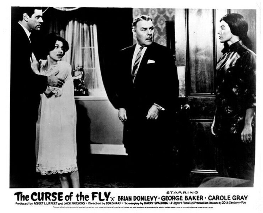 Picture of The Curse of the Fly (1965)