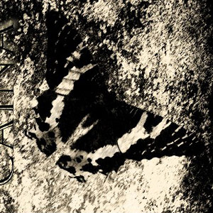 Picture of Some People Fall