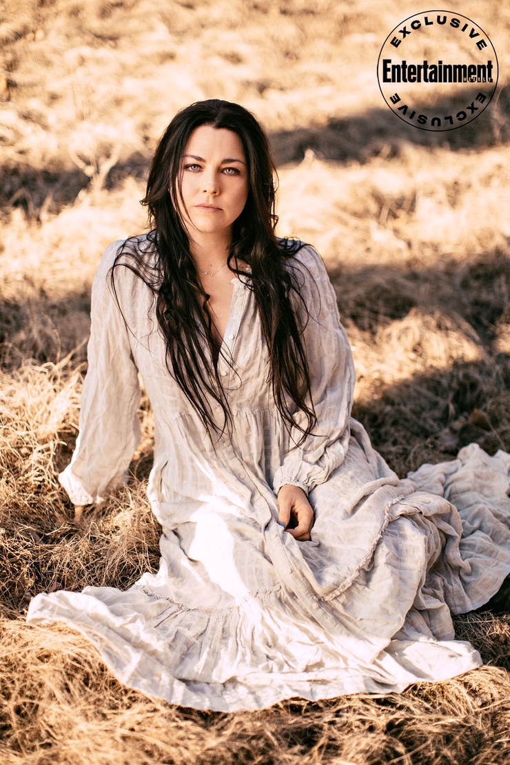 Picture of Amy Lee