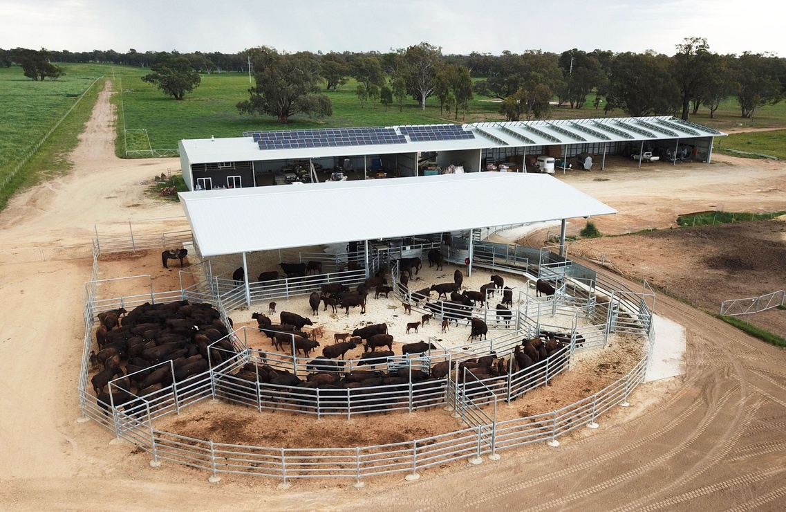 LOOKING FOR MORE CATTLE YARD DESIGNS?
