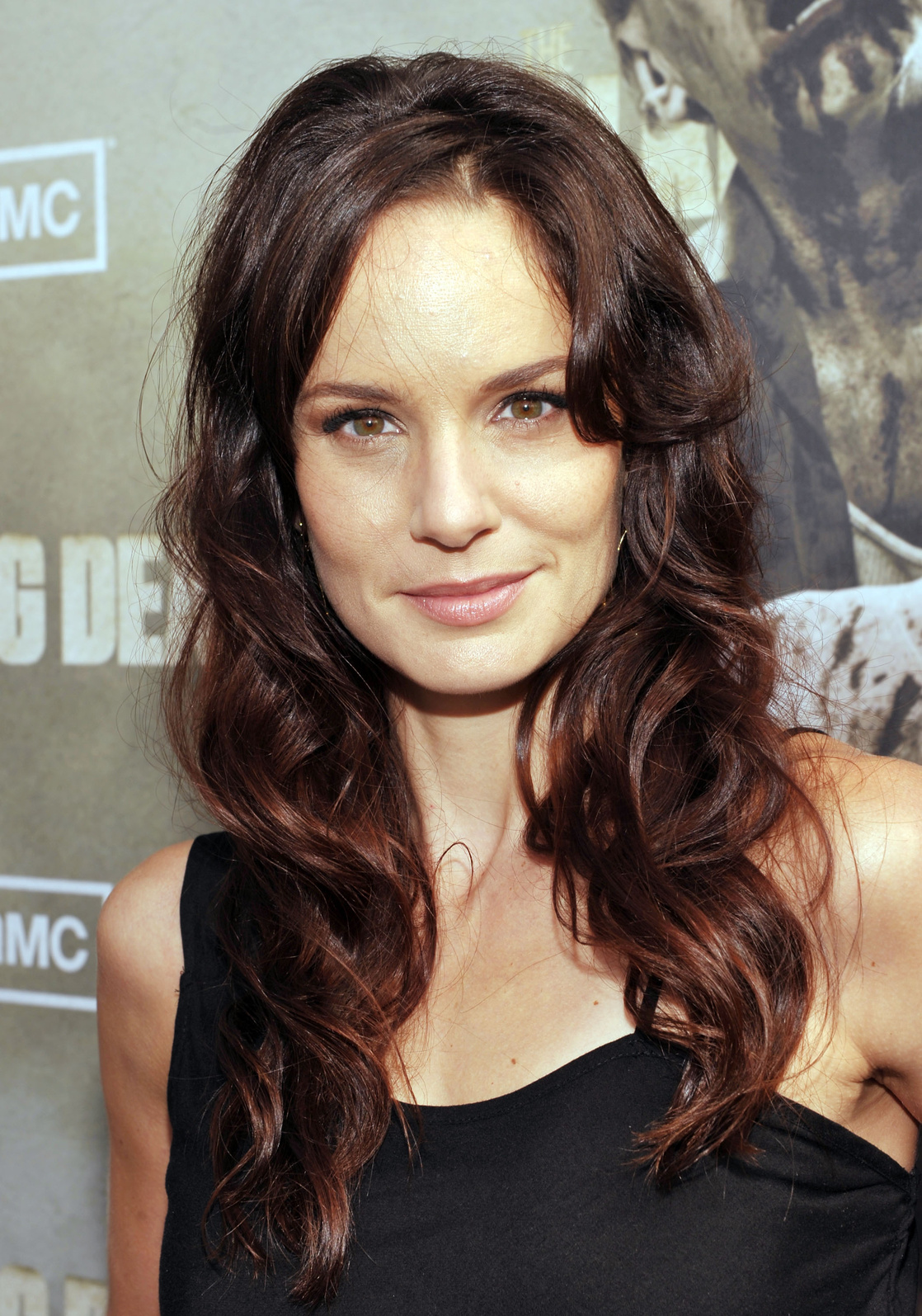 Picture of Sarah Wayne Callies