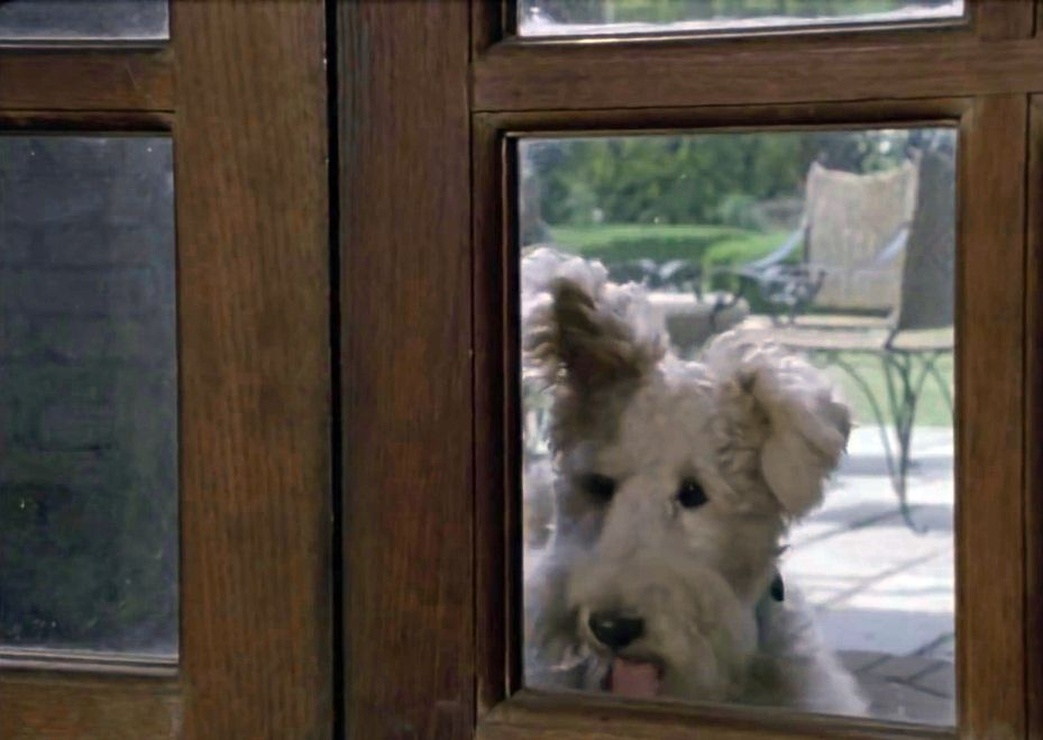 Image of "Agatha Christie's Poirot" Dumb Witness