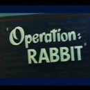 Operation: Rabbit picture