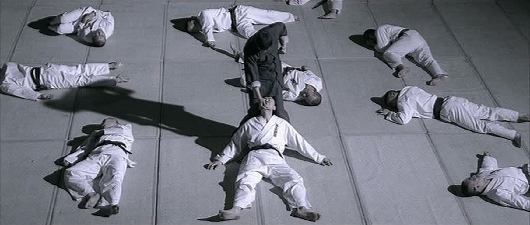 Ip Man image