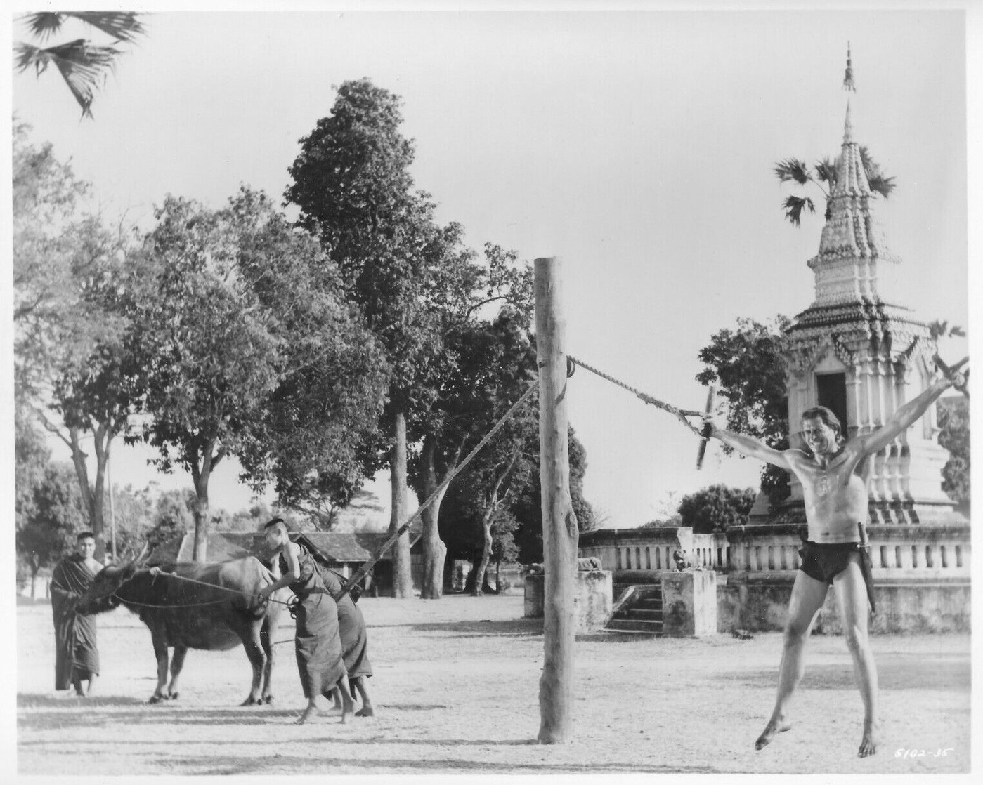 Picture of Tarzan's Three Challenges