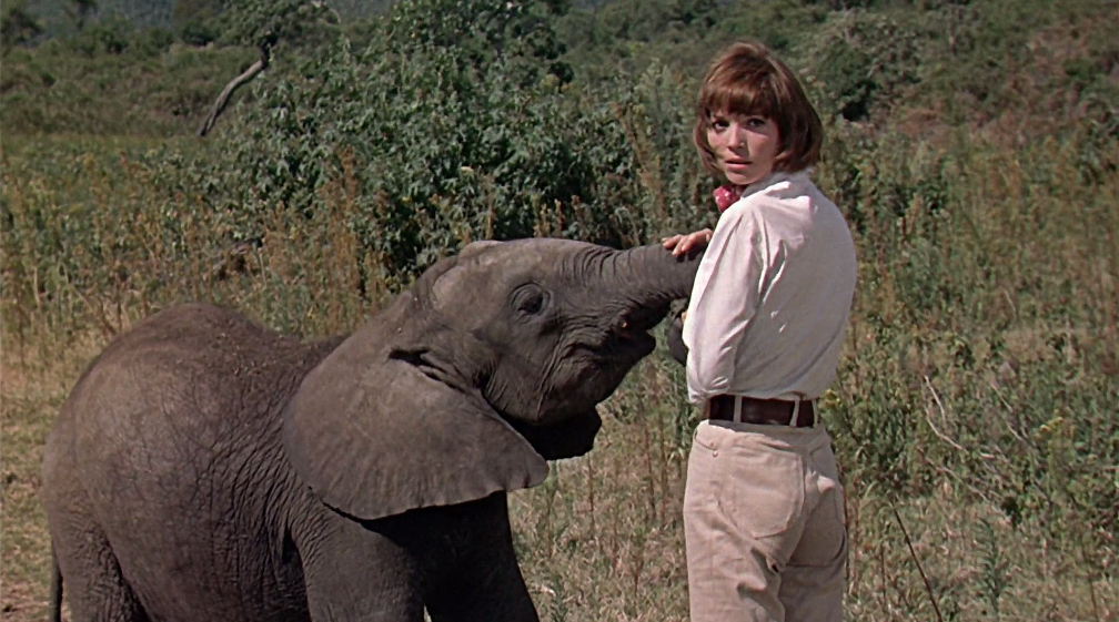 Elsa Martinelli